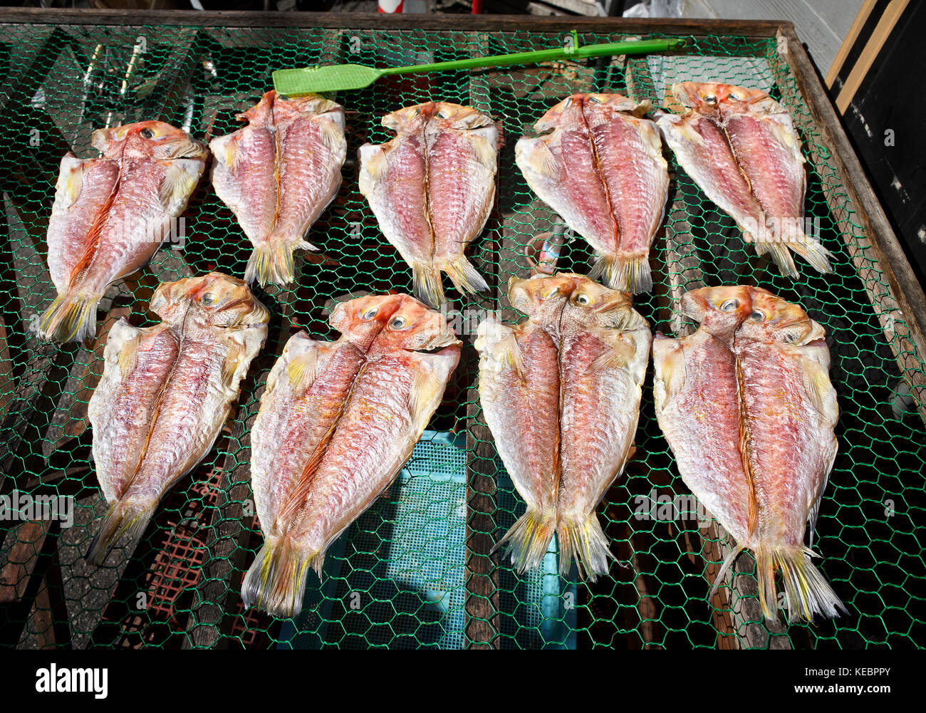 Japan, Honshu island, Kansai, drying of fish Stock Photo - Alamy