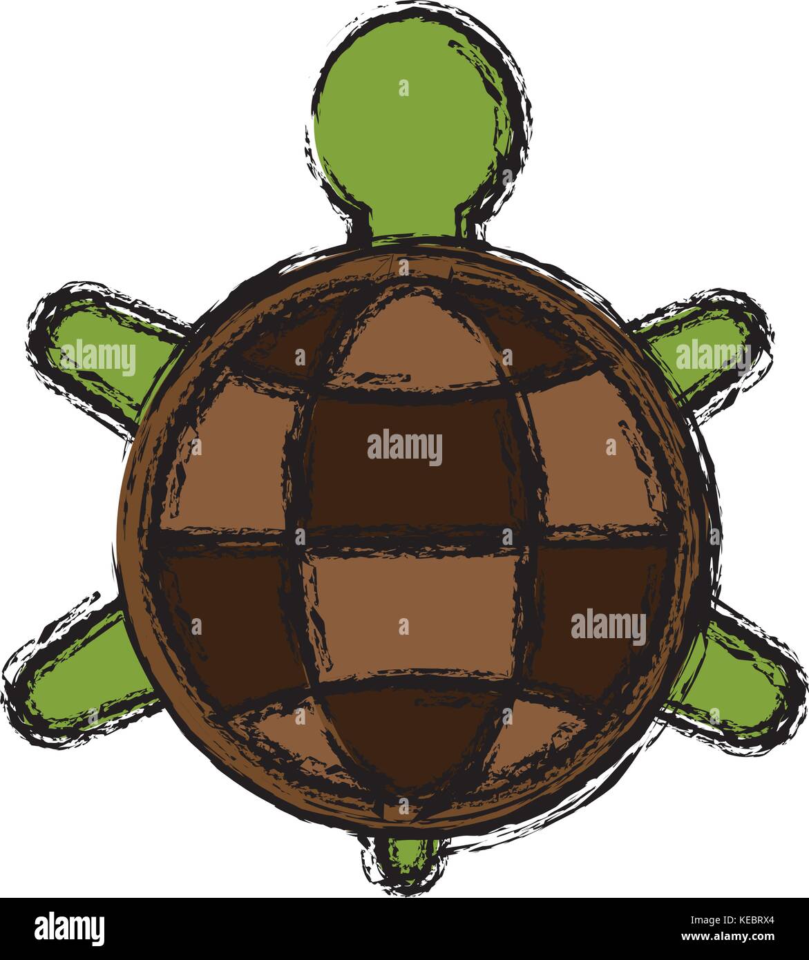 Turtle animal symbol Stock Vector Image & Art - Alamy