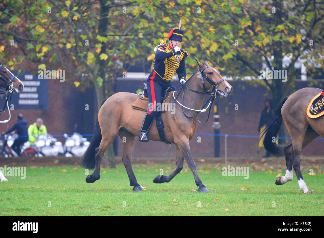 The Queen attended a Royal Review of the King's Troop Royal Horse ...