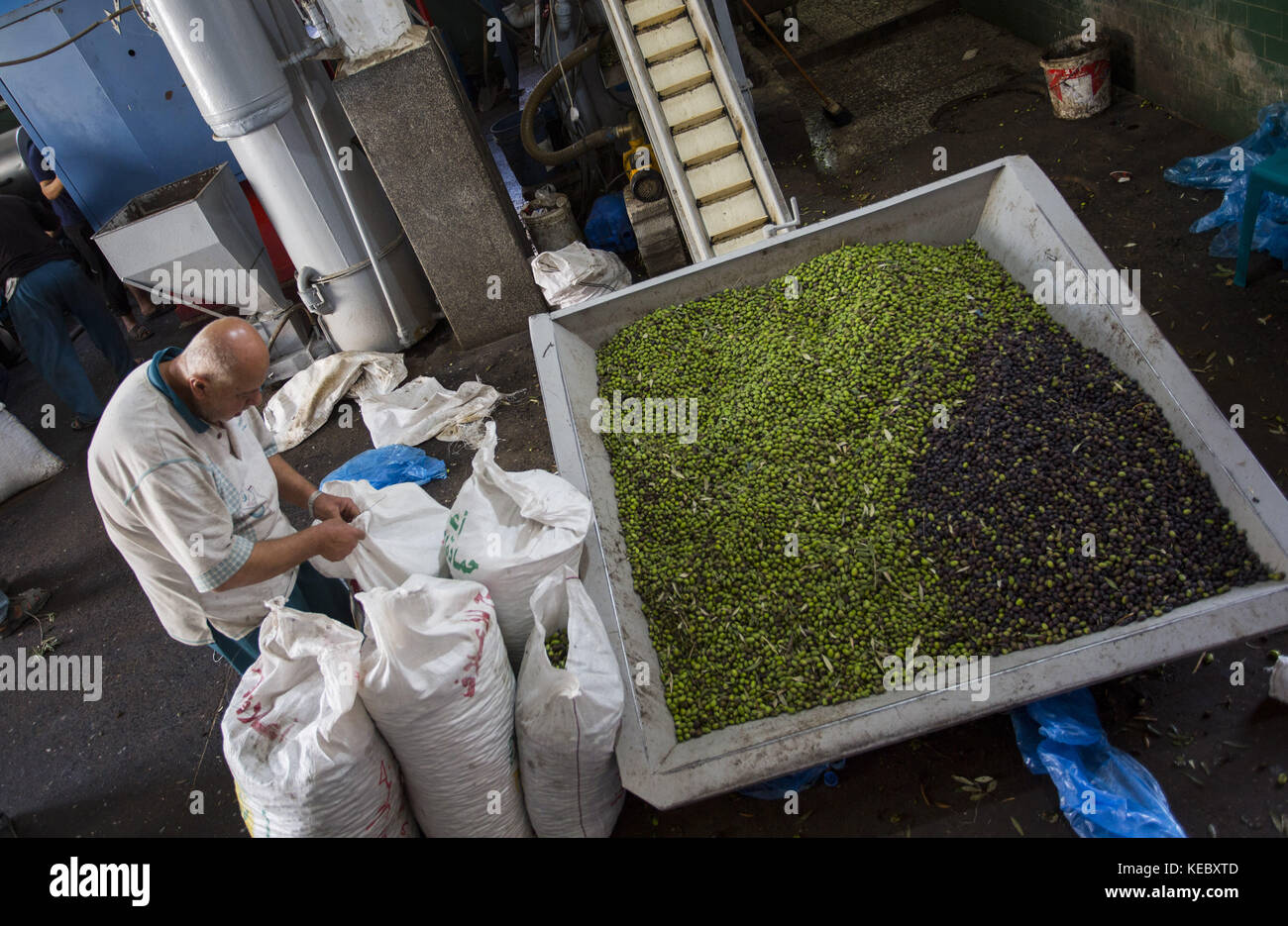 Gaza City, The Gaza Strip, Palestine. 19th Oct, 2017. A Palestinian ...
