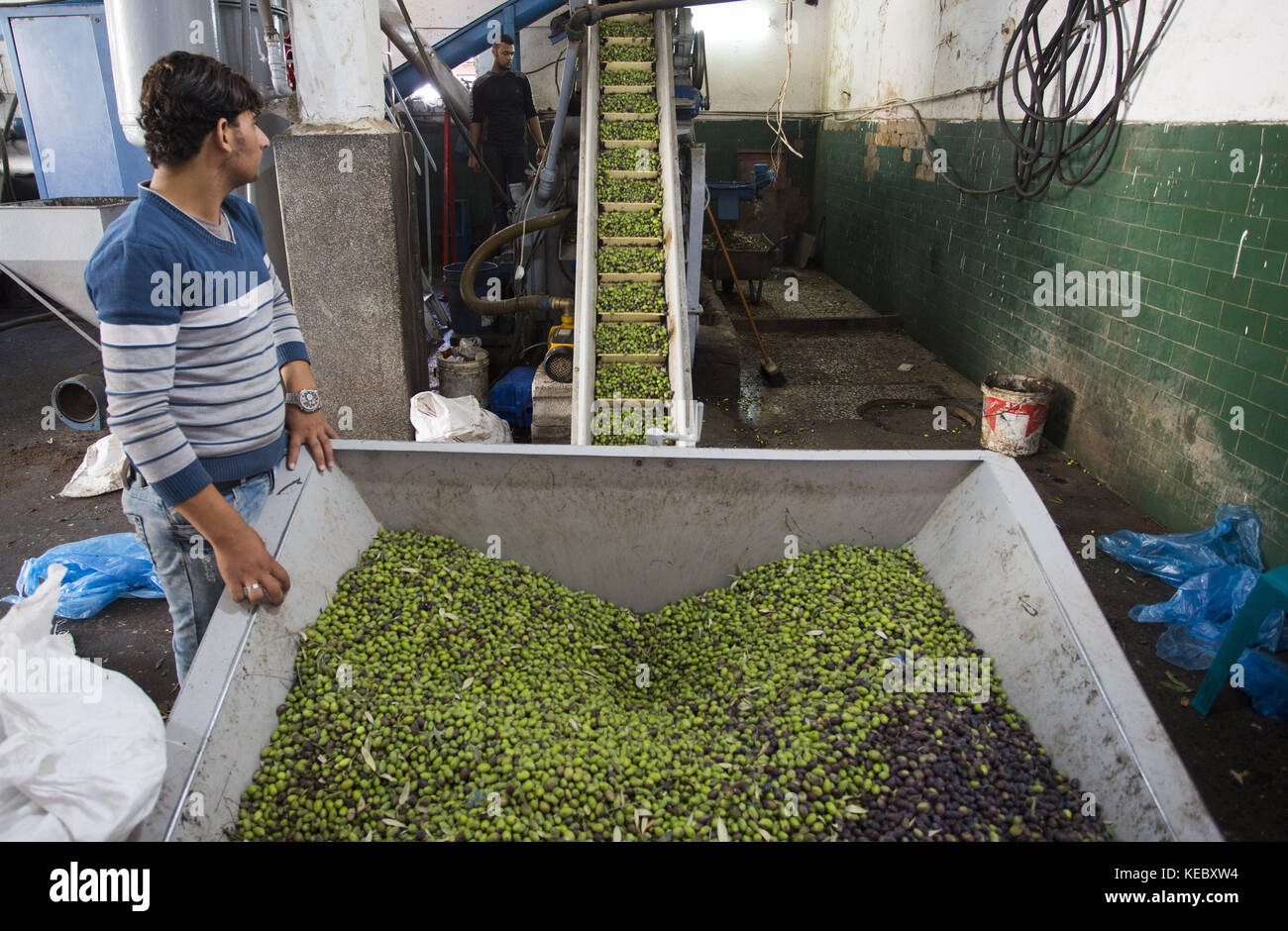 Gaza City, The Gaza Strip, Palestine. 19th Oct, 2017. A Palestinian ...