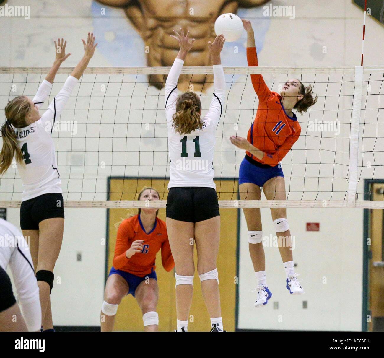 Alamy high school volleyball match hi-res stock photography and images ...