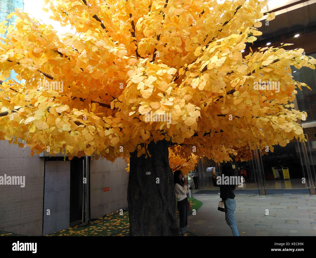 October 20, 2017 - Chongqin, Chongqin, China - Chongqing, CHINA-20th ...