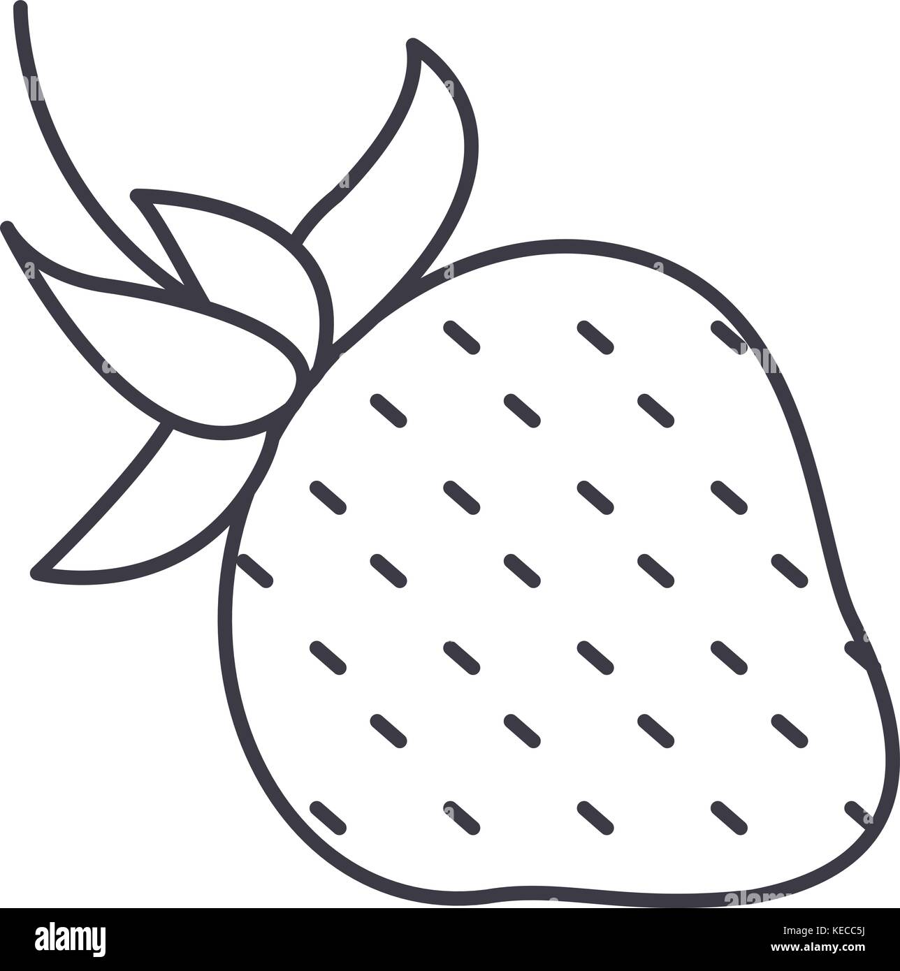 strawberry vector line icon, sign, illustration on background, editable ...