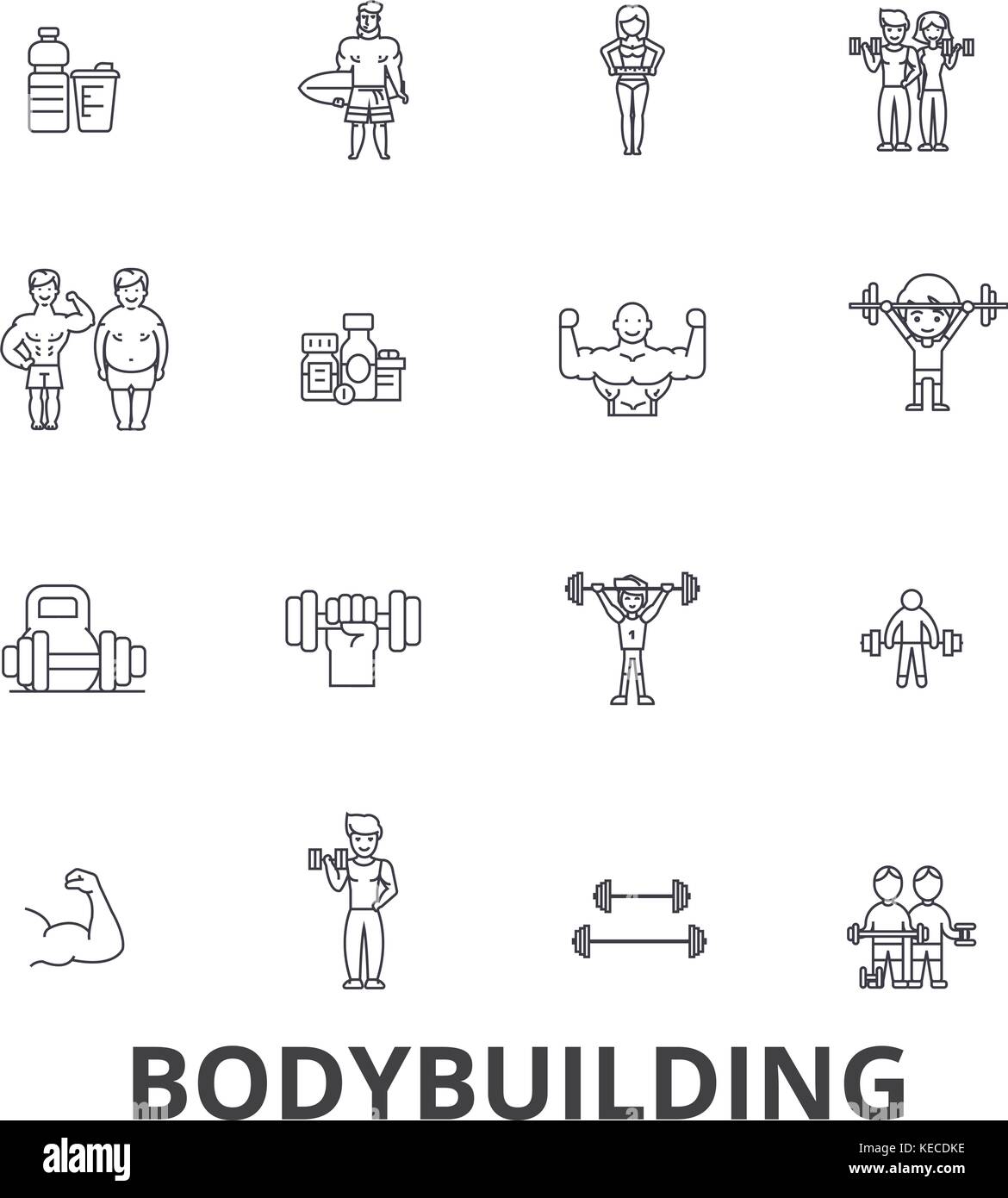 Bodybuilding, body, muscle, gym, muscleman, bodybuilder, weightlifting ...