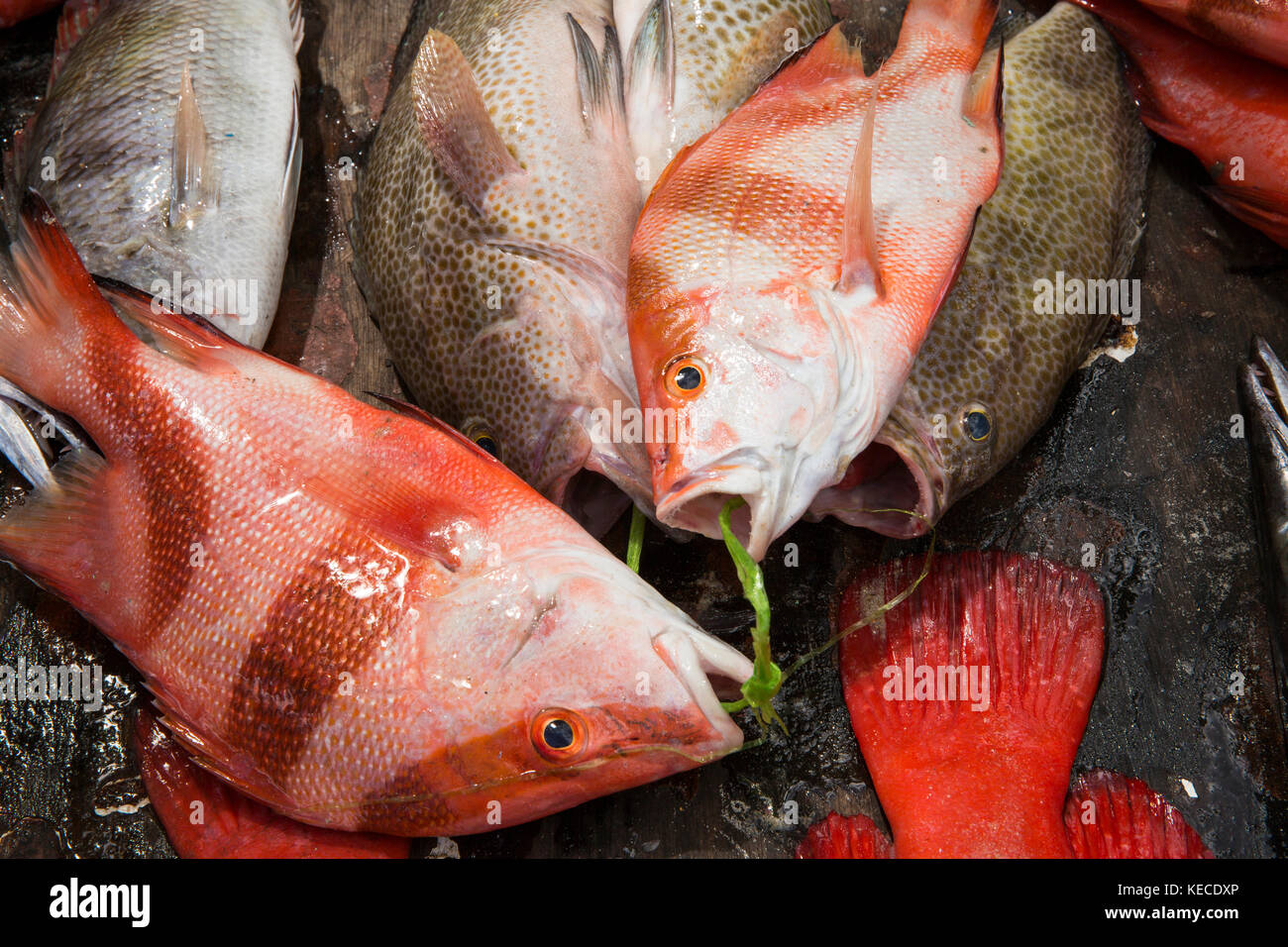 The Seychelles, Mahe, Victoria, Sir Selwyn Selwyn-Clarke Market, fish ...