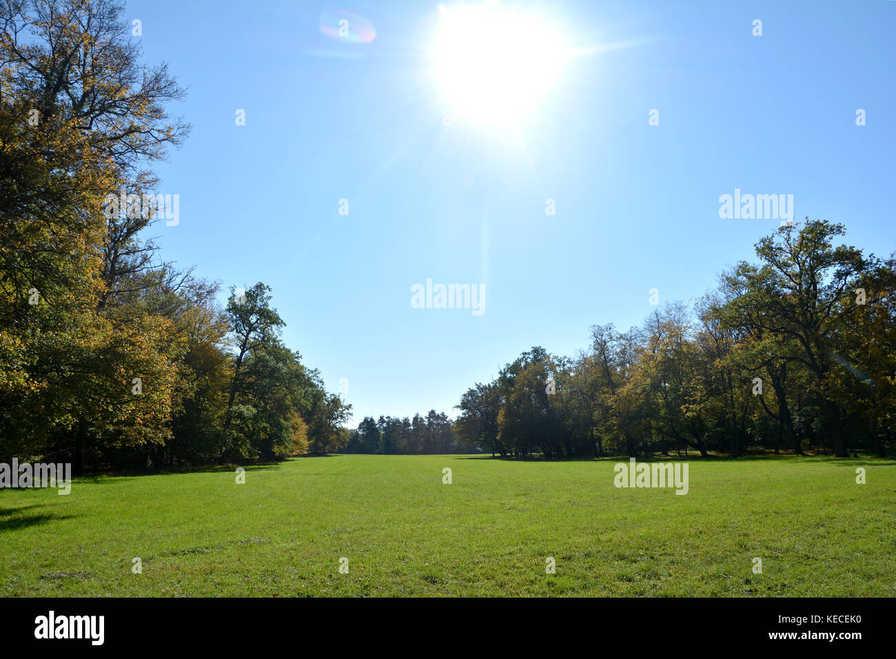 Sunlight trees lawn High Resolution Stock Photography and Images - Alamy