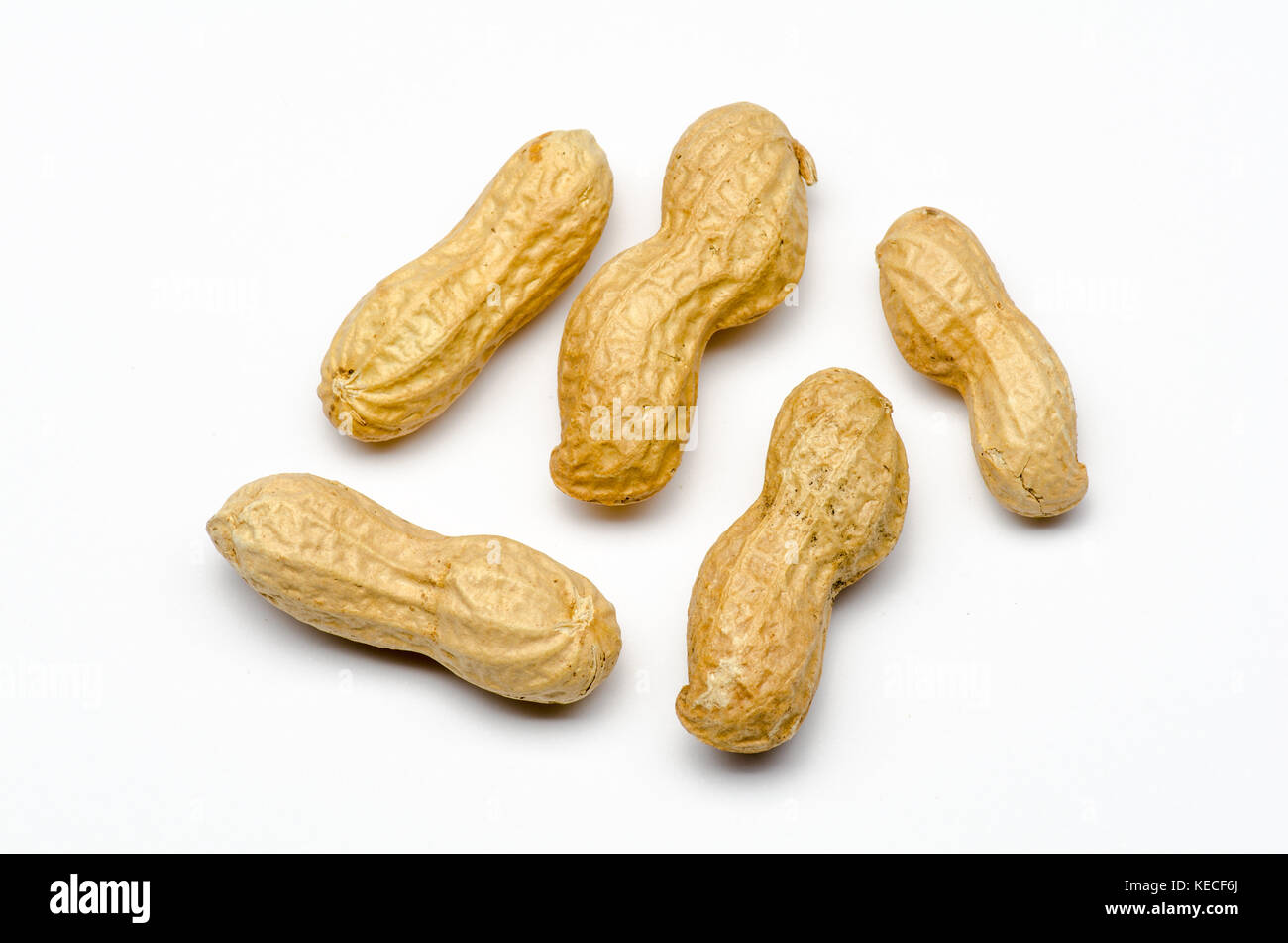 five peanuts on a white background, isolated Stock Photo - Alamy