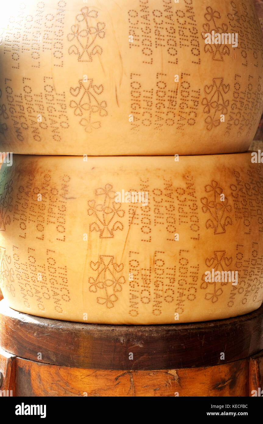 Italy, Lombardy, Lodi, Grana Lodigiano Cheese Stock Photo - Alamy