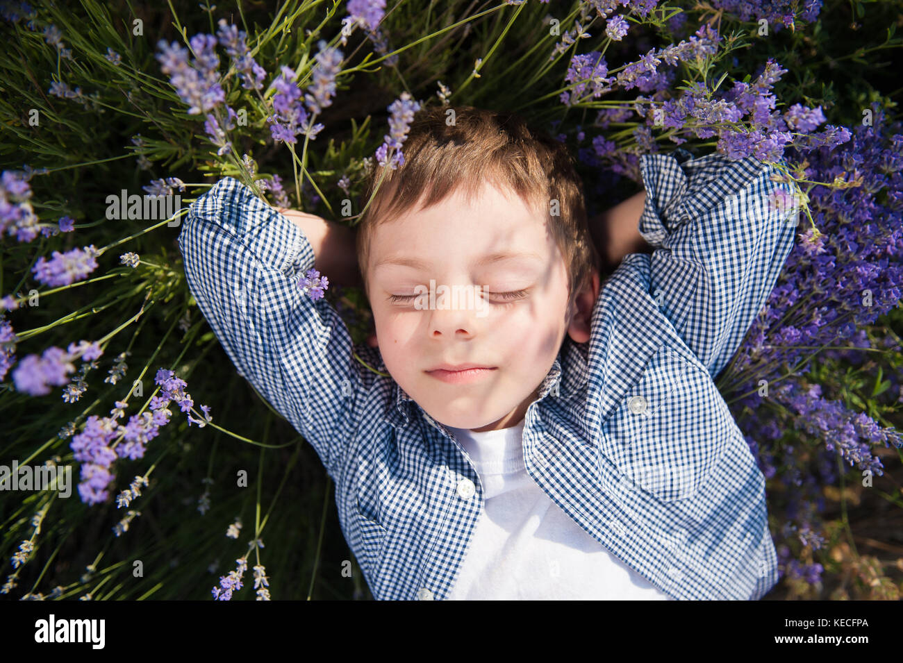 happy dreaming cute little kid with closed eyes lying in a field of ...