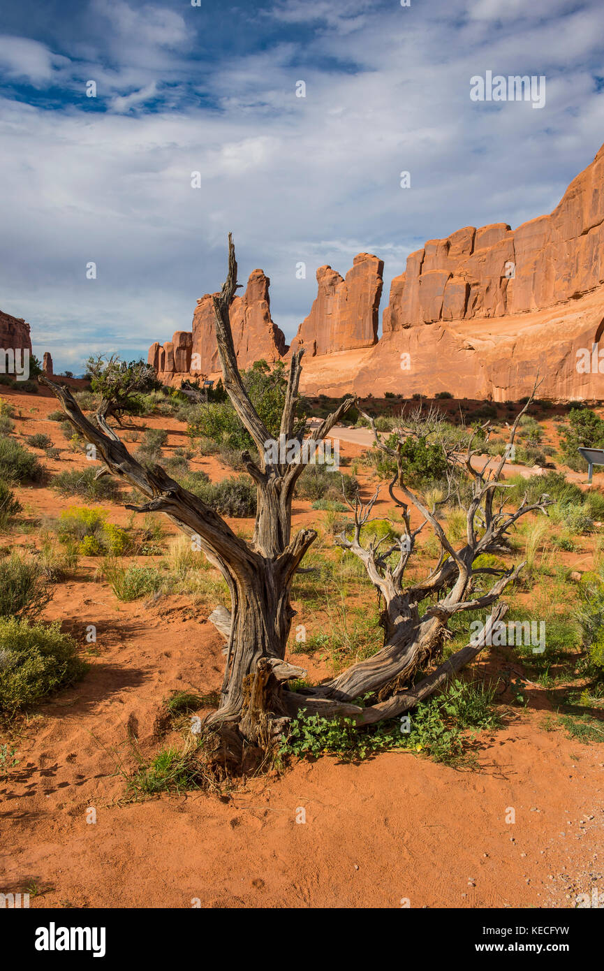 Stone wall of the window section, Arches National Park, Utah, USA Stock ...