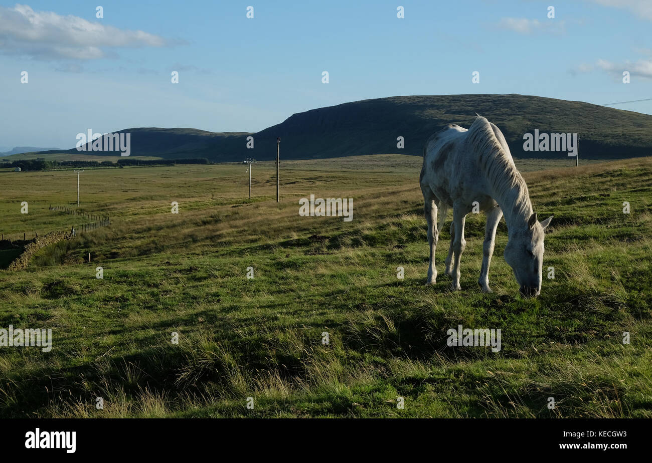 Antrim plateau hi-res stock photography and images - Alamy