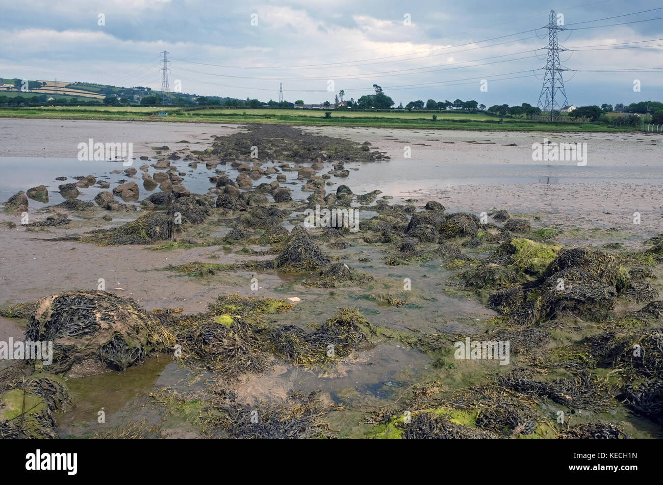 Ballycarry causeway hi-res stock photography and images - Alamy