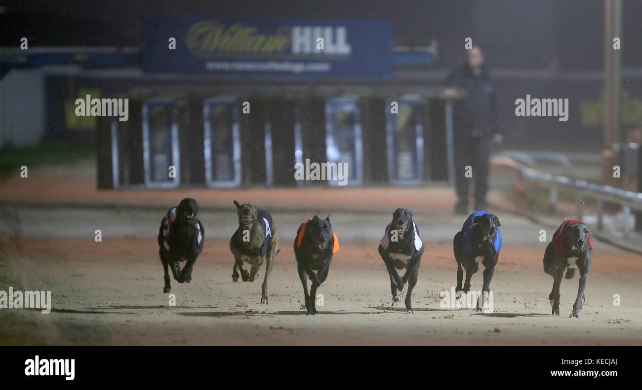 Droopys verve hi-res stock photography and images - Alamy