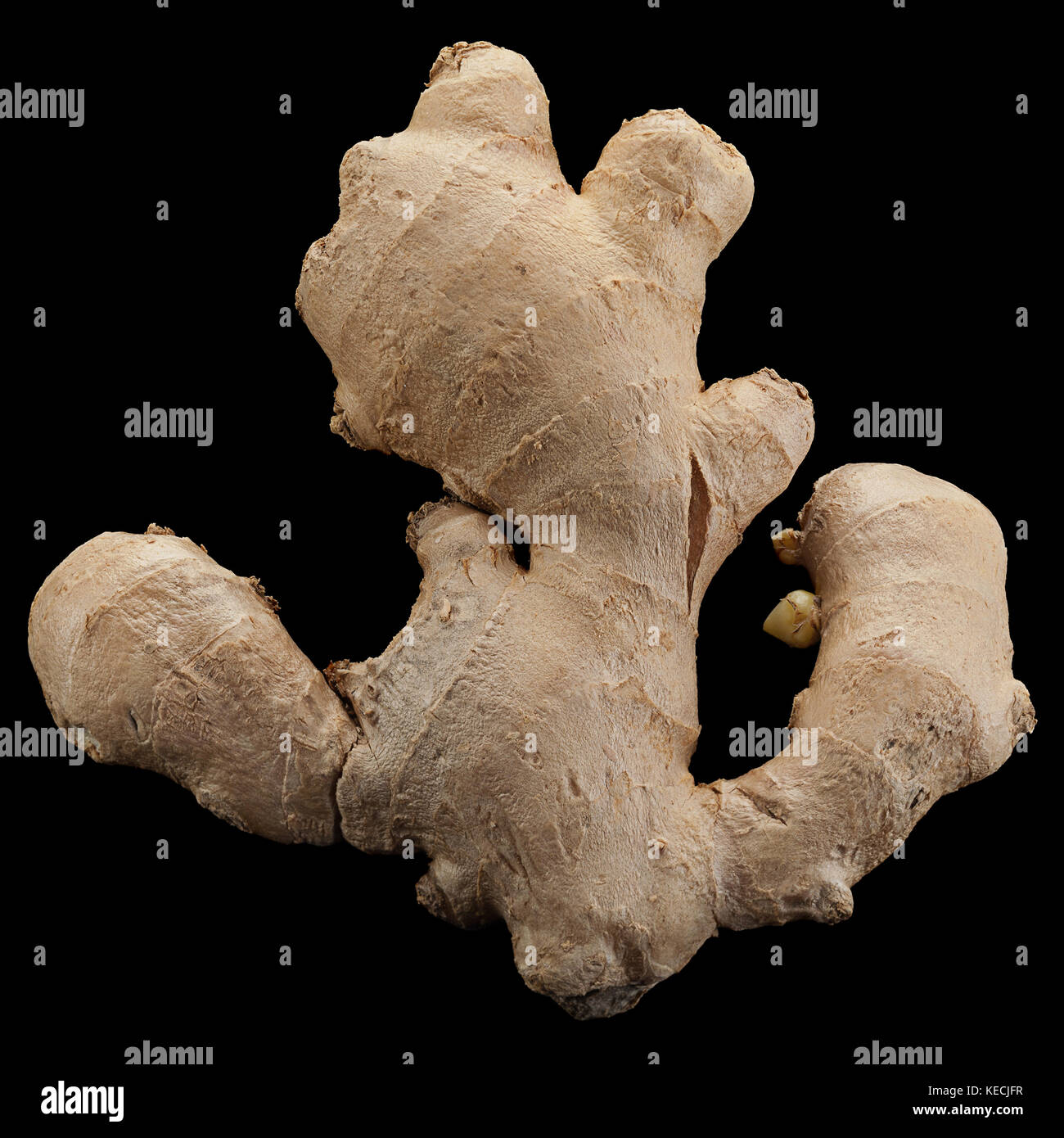 Ginger spice root isolated on black background Stock Photo - Alamy