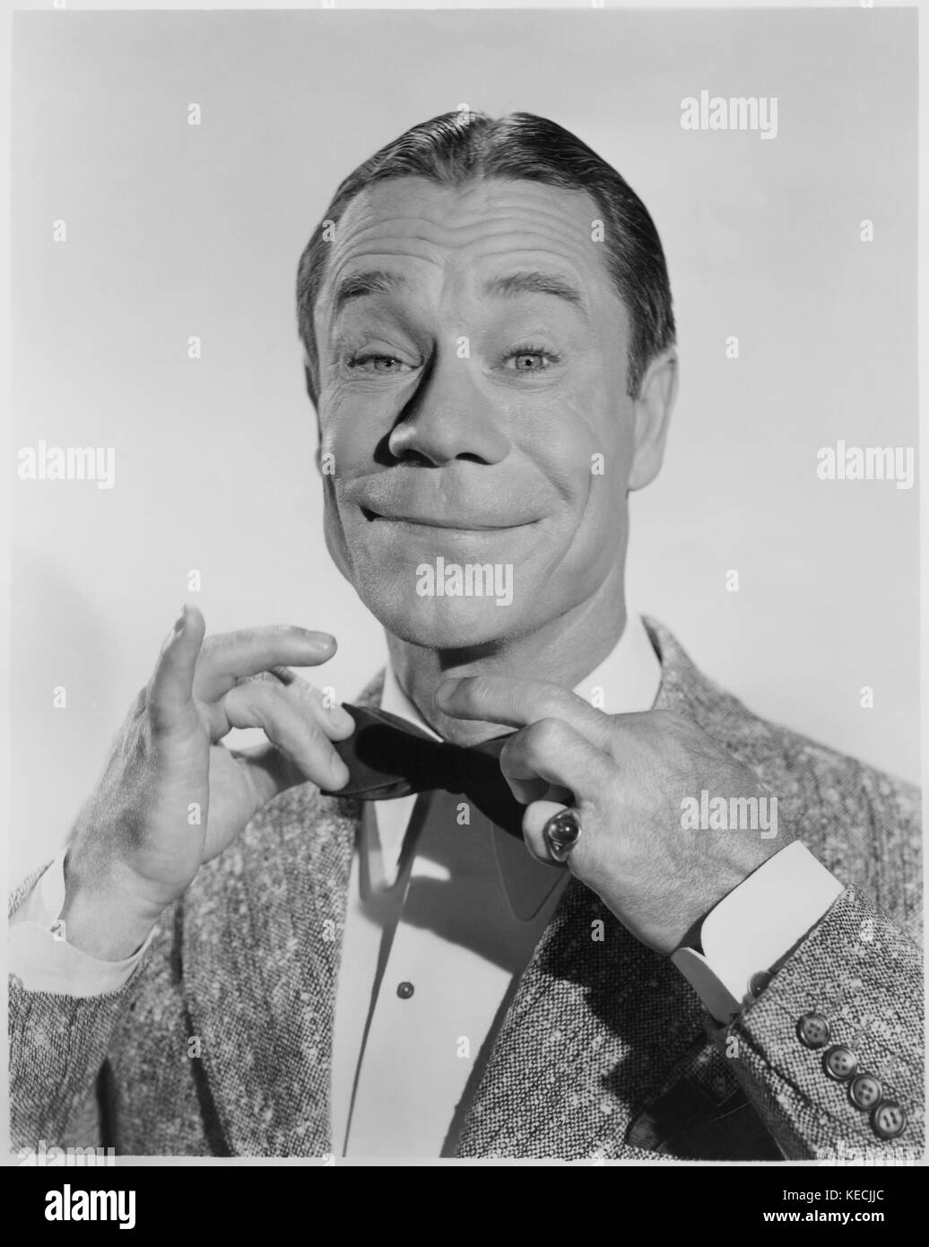 Joe black fox High Resolution Stock Photography and Images - Alamy