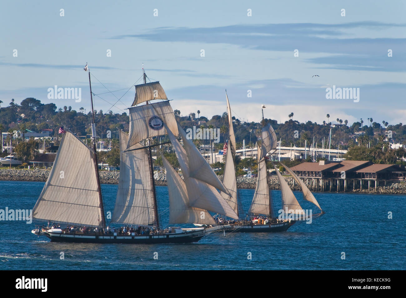 Lynx Tall Ship High Resolution Stock Photography and Images - Alamy