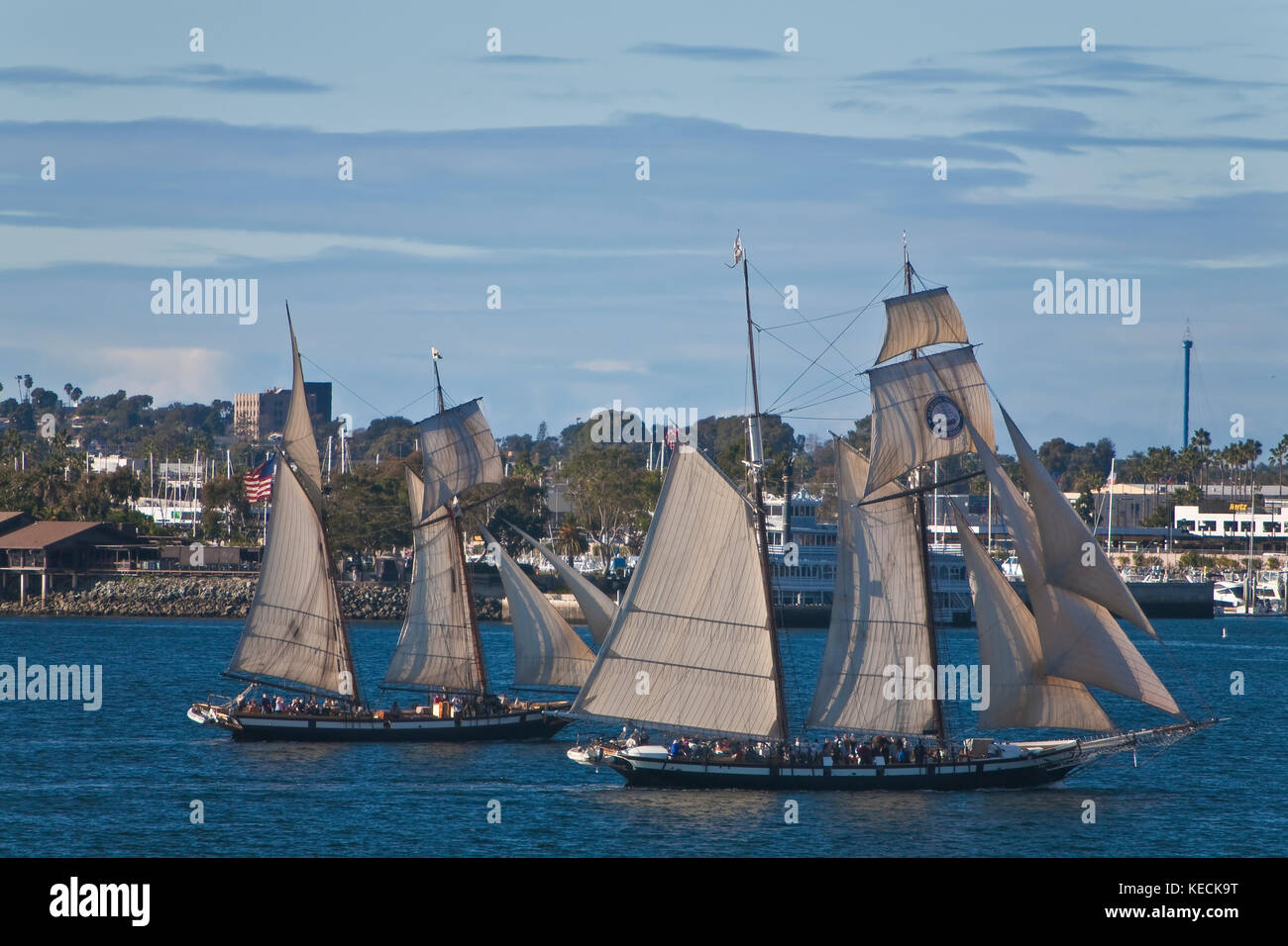 Lynx tall ship hi-res stock photography and images - Alamy