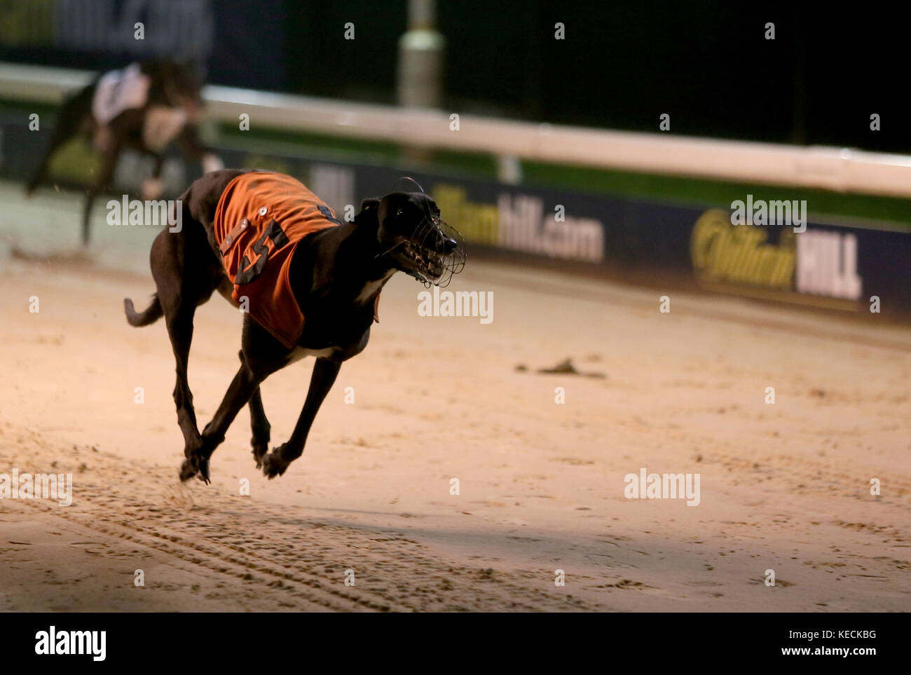Geelo monty wins sky sports arena race five hi-res stock photography ...