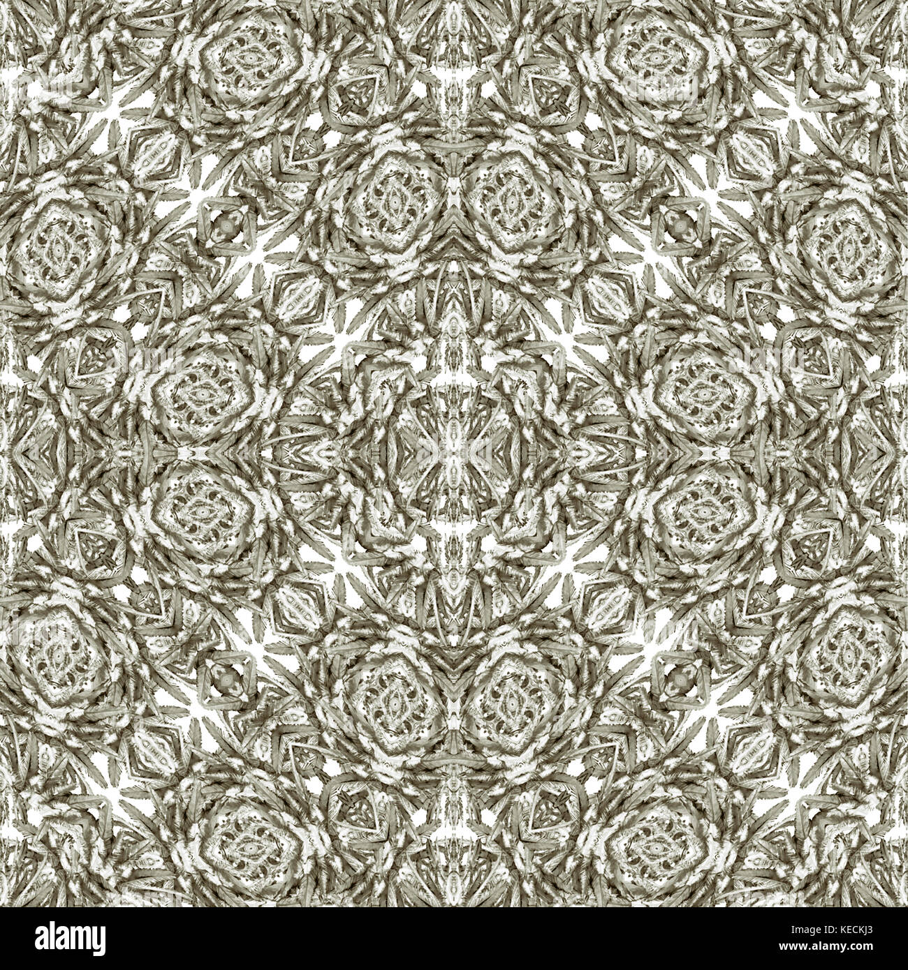 Modern Baroque Pattern