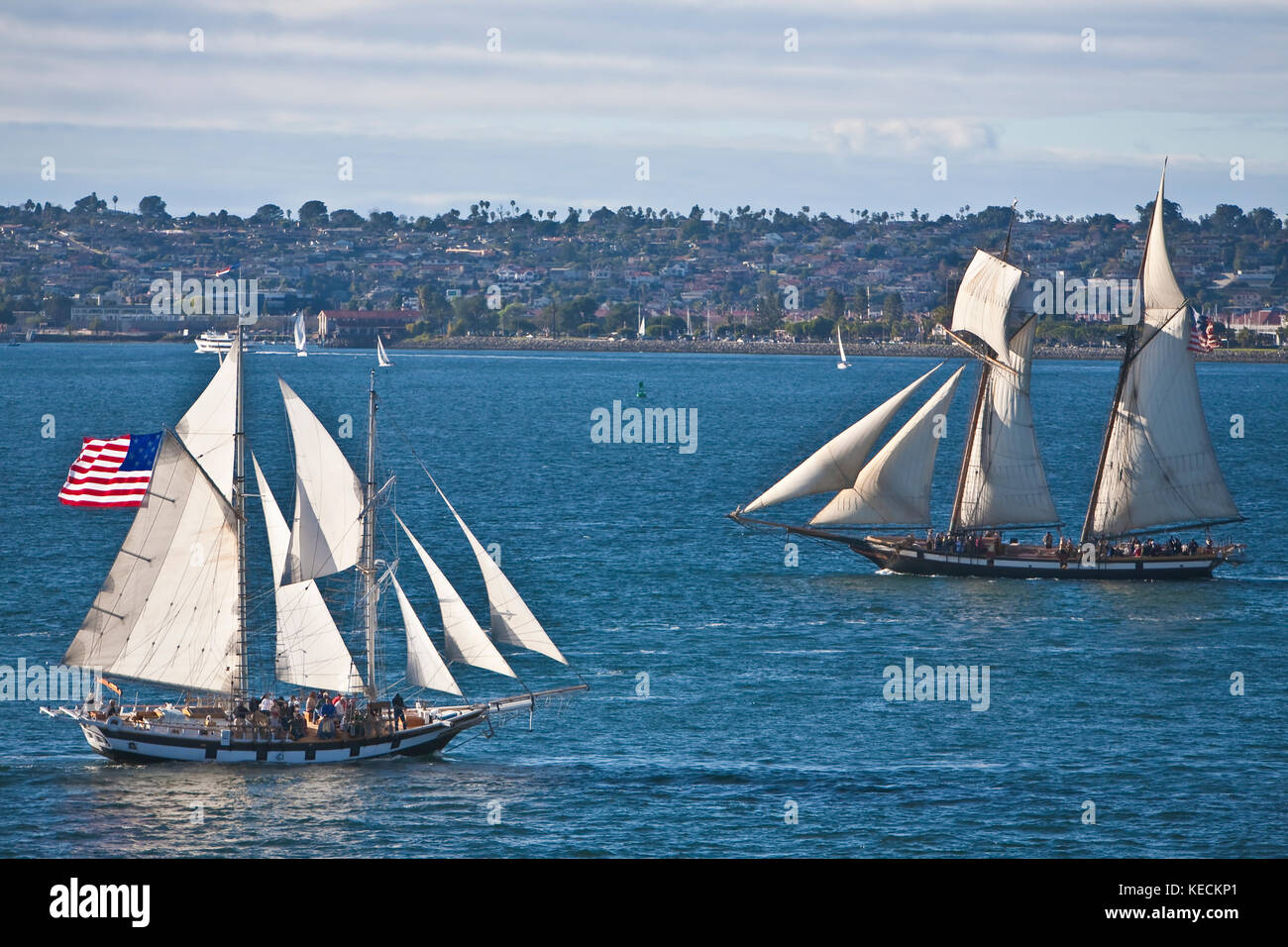 Lynx Tall Ship High Resolution Stock Photography and Images - Alamy