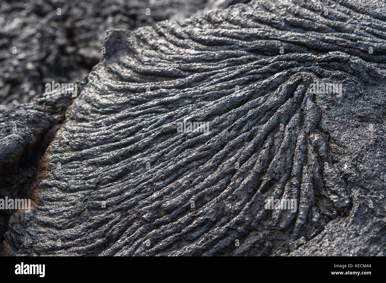 Pahoehoe or rope lava, on Rabida Island, Galapagos. It is formed of ...