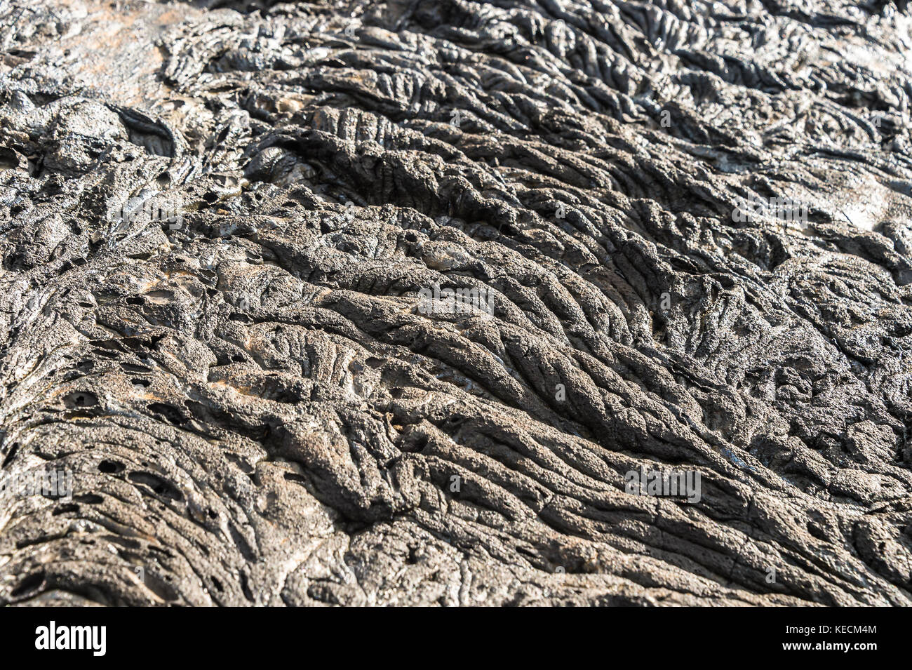Pahoehoe or rope lava, on Rabida Island, Galapagos. It is formed of ...
