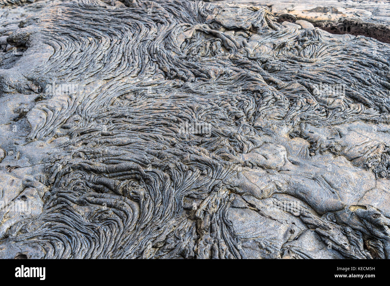 Pahoehoe or rope lava, on Rabida Island, Galapagos. It is formed of ...