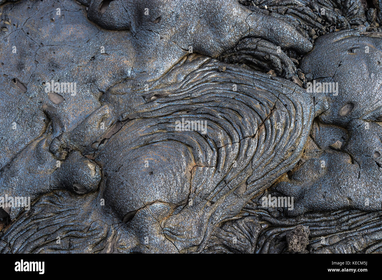 Pahoehoe or rope lava, on Rabida Island, Galapagos. It is formed of ...