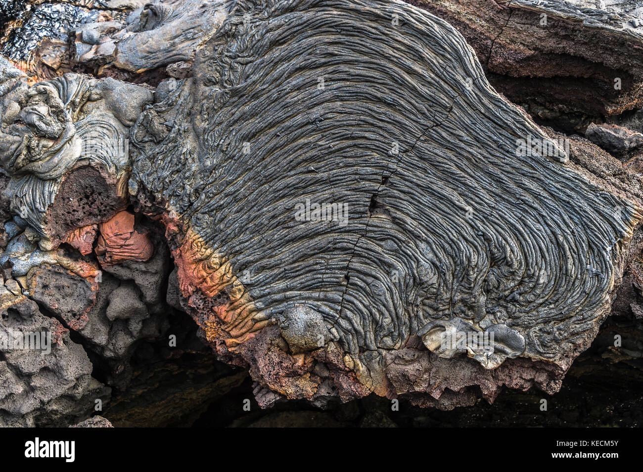 Pahoehoe or rope lava, on Rabida Island, Galapagos. It is formed of ...