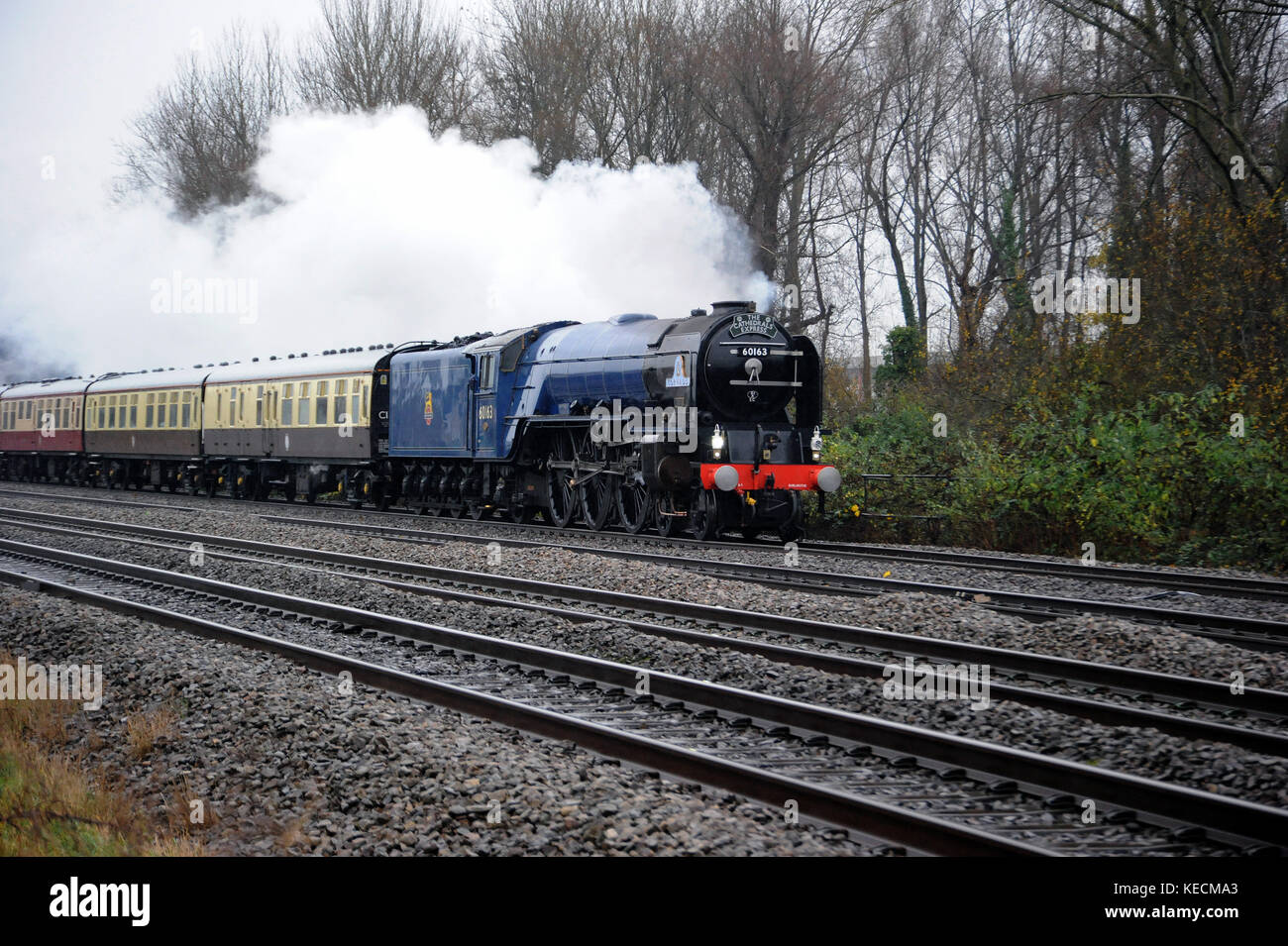 60163 "TORNADO" (on its first public train in B.R. blue) heads a ...