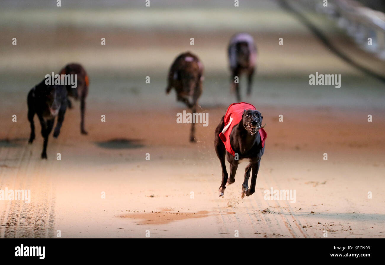 Droopys expert hi-res stock photography and images - Alamy