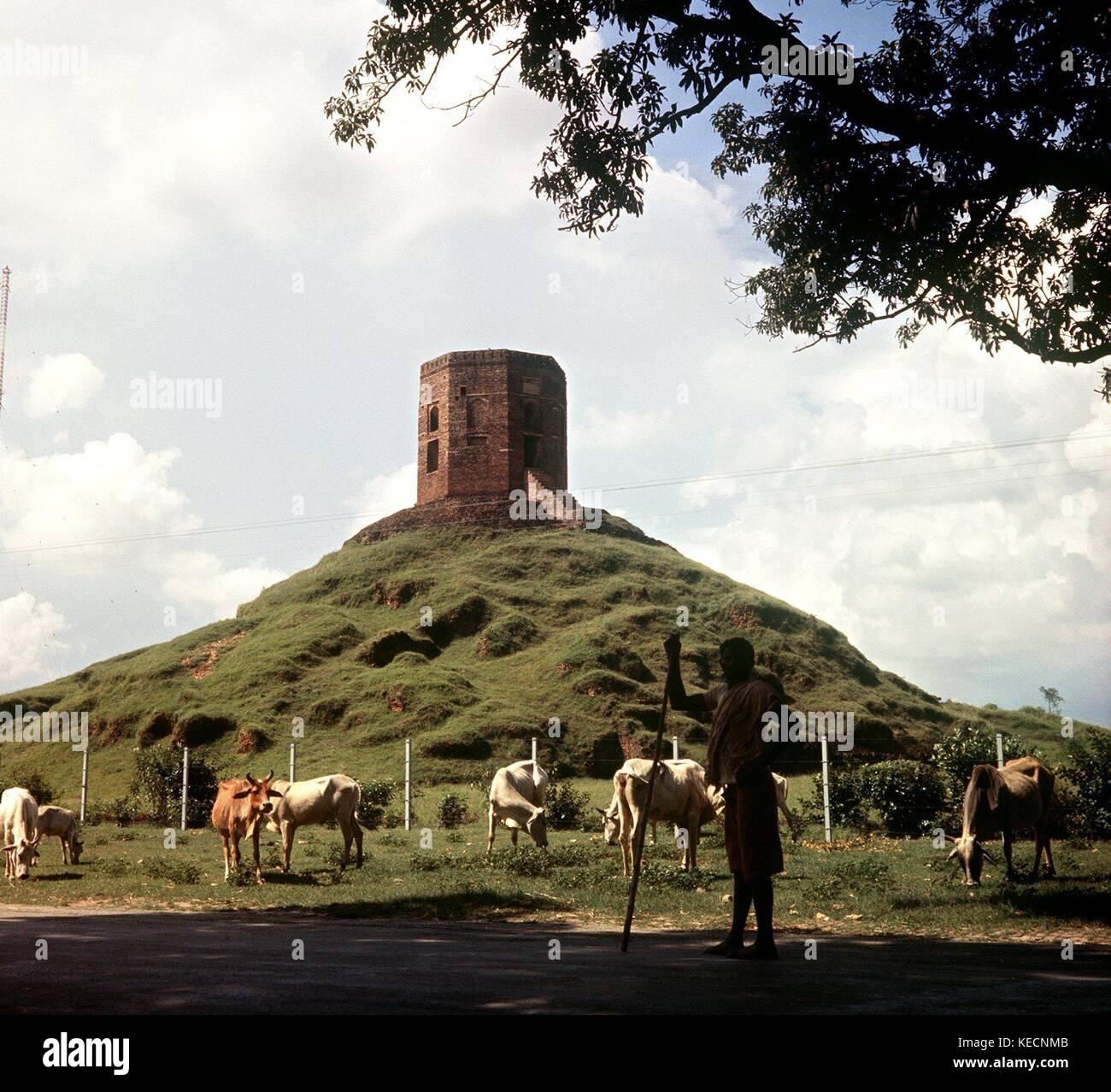 Chaukhandi Stupa is an important Buddhist sacral buildng in the ruins ...