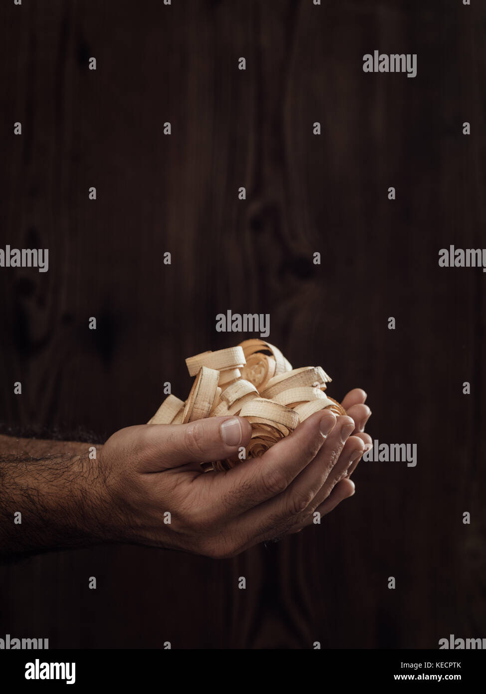 Carpenter holding wood shavings in his hands: woodworking and ...
