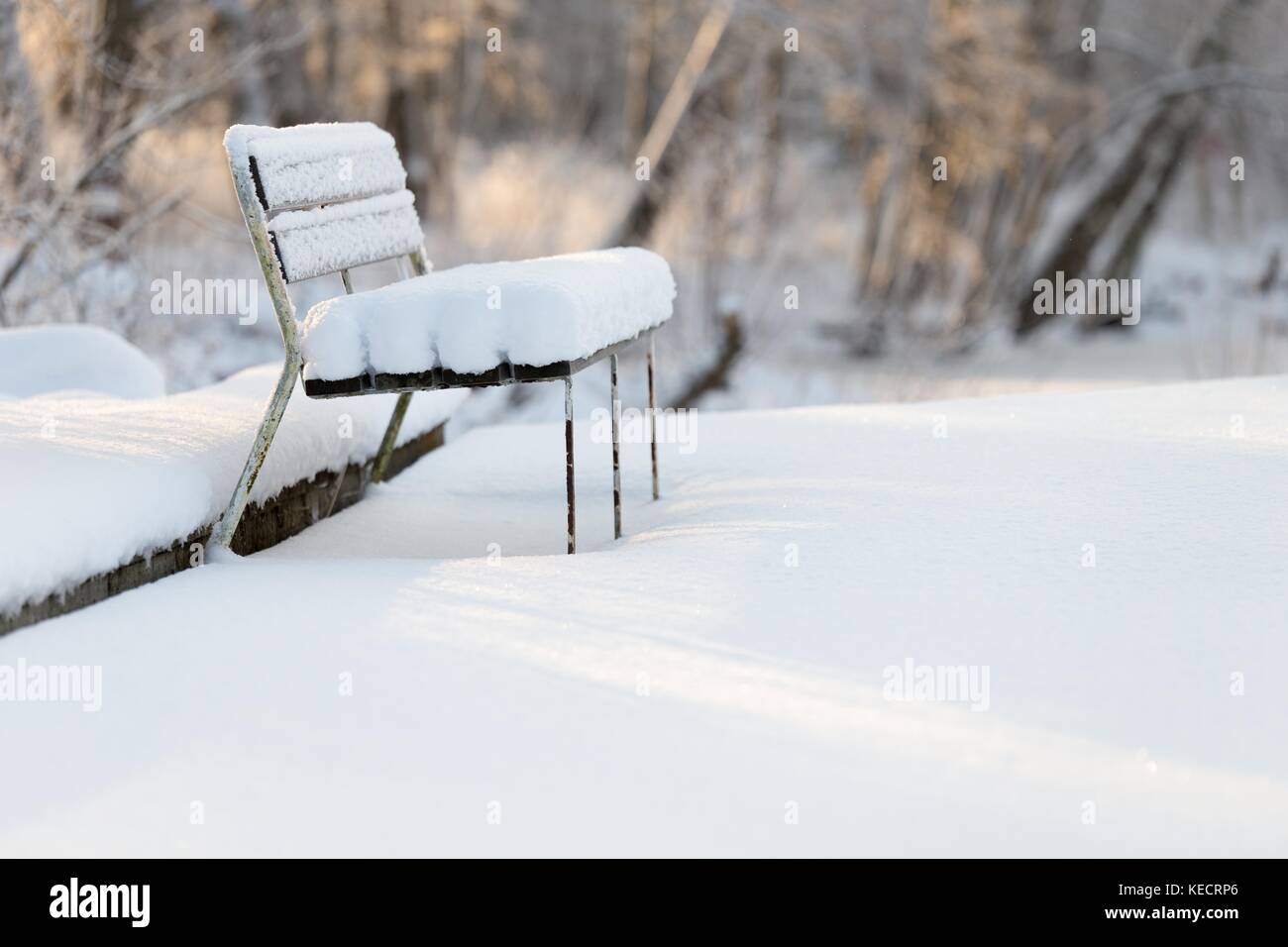 Snow covered bench and intact snow in winter sun Stock Photo - Alamy