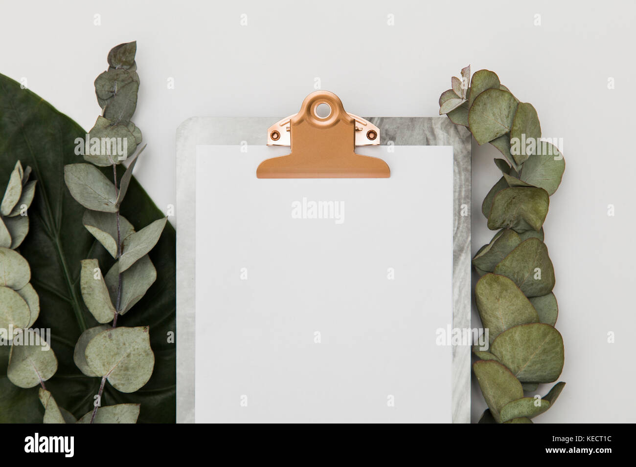 Clipboard with blank paper mockup with eucalyptus leaves, top view ...