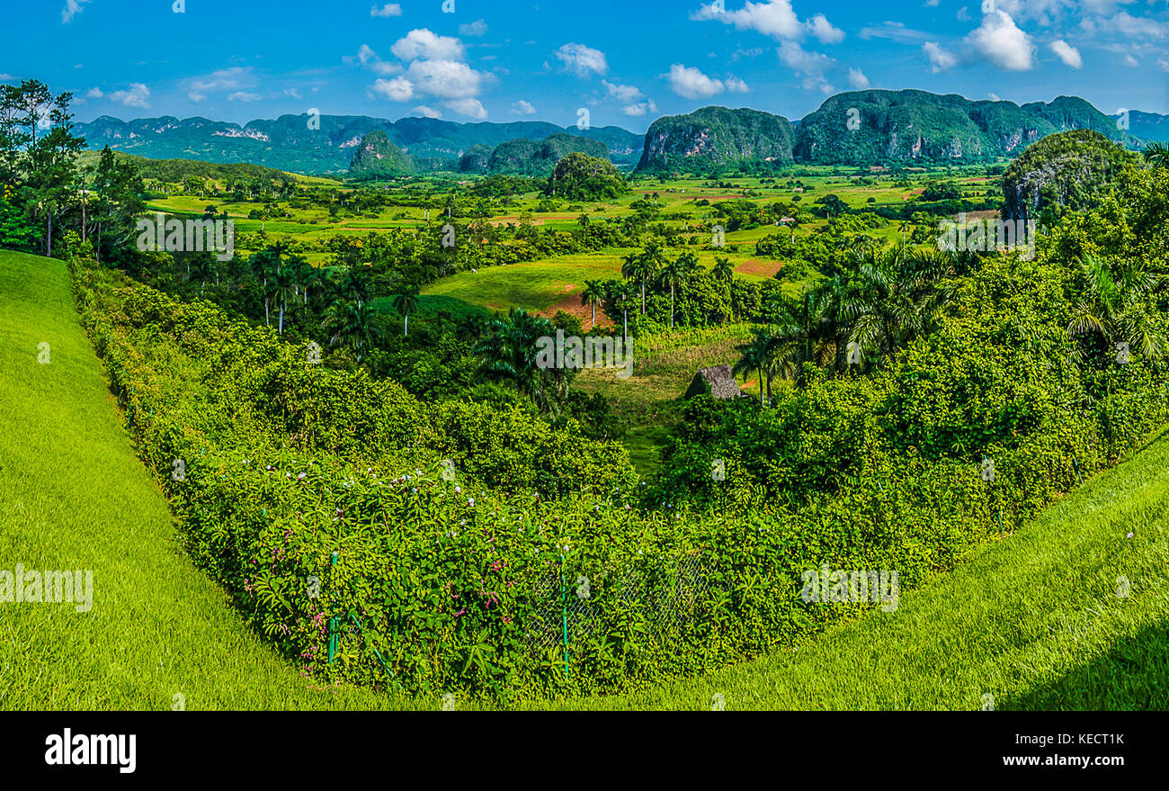 One of the most beautiful places in Cuba the lush valley of Pinar Del ...