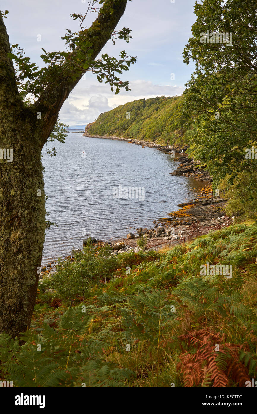 North shoreline of Loch Diabaig at Lower Diabaig Stock Photo - Alamy