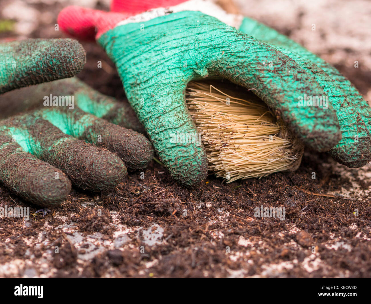 Work glove with soil and brush Stock Photo - Alamy