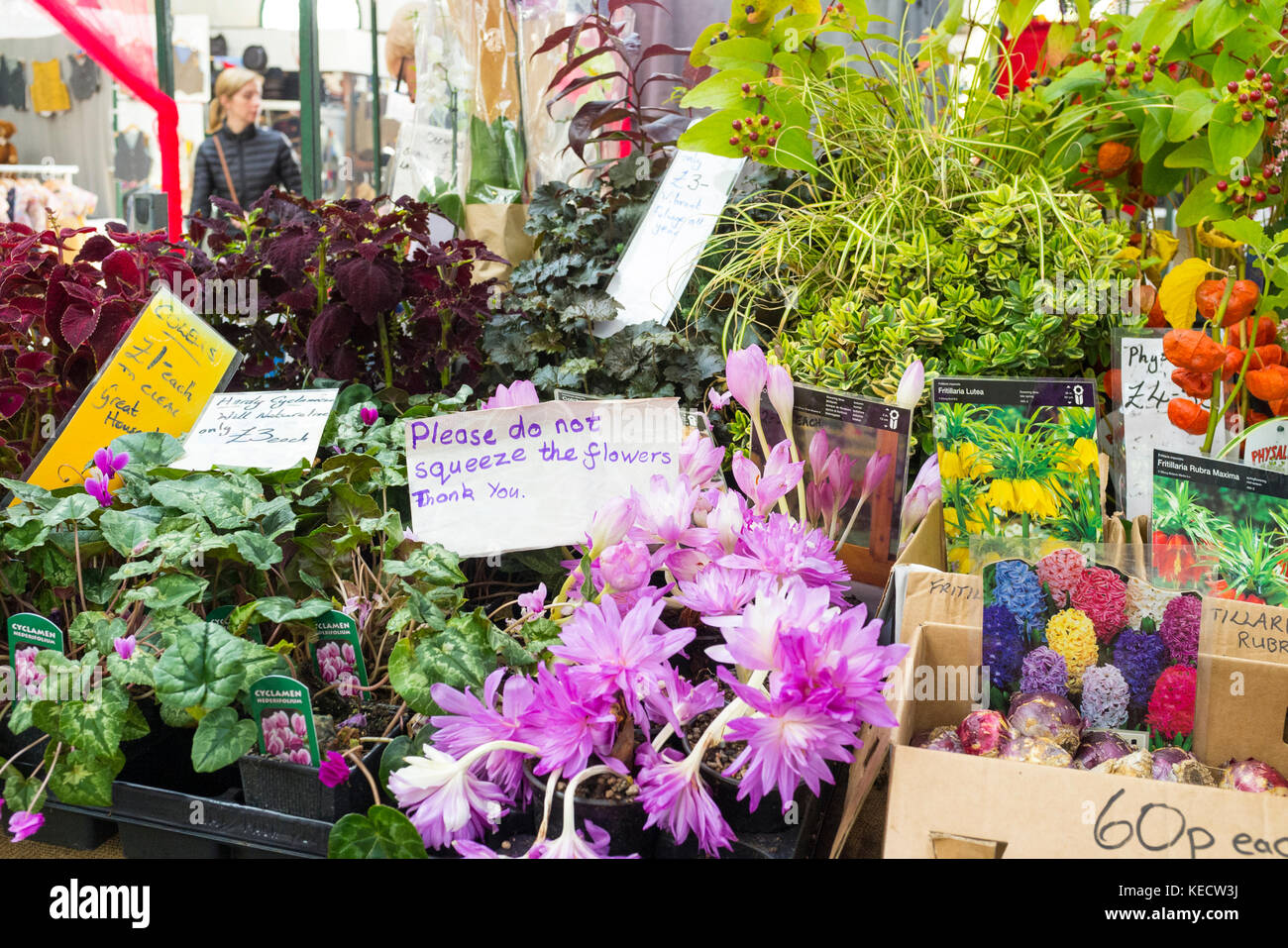 Flower stall, St. Georges Market, Belfast Stock Photo - Alamy