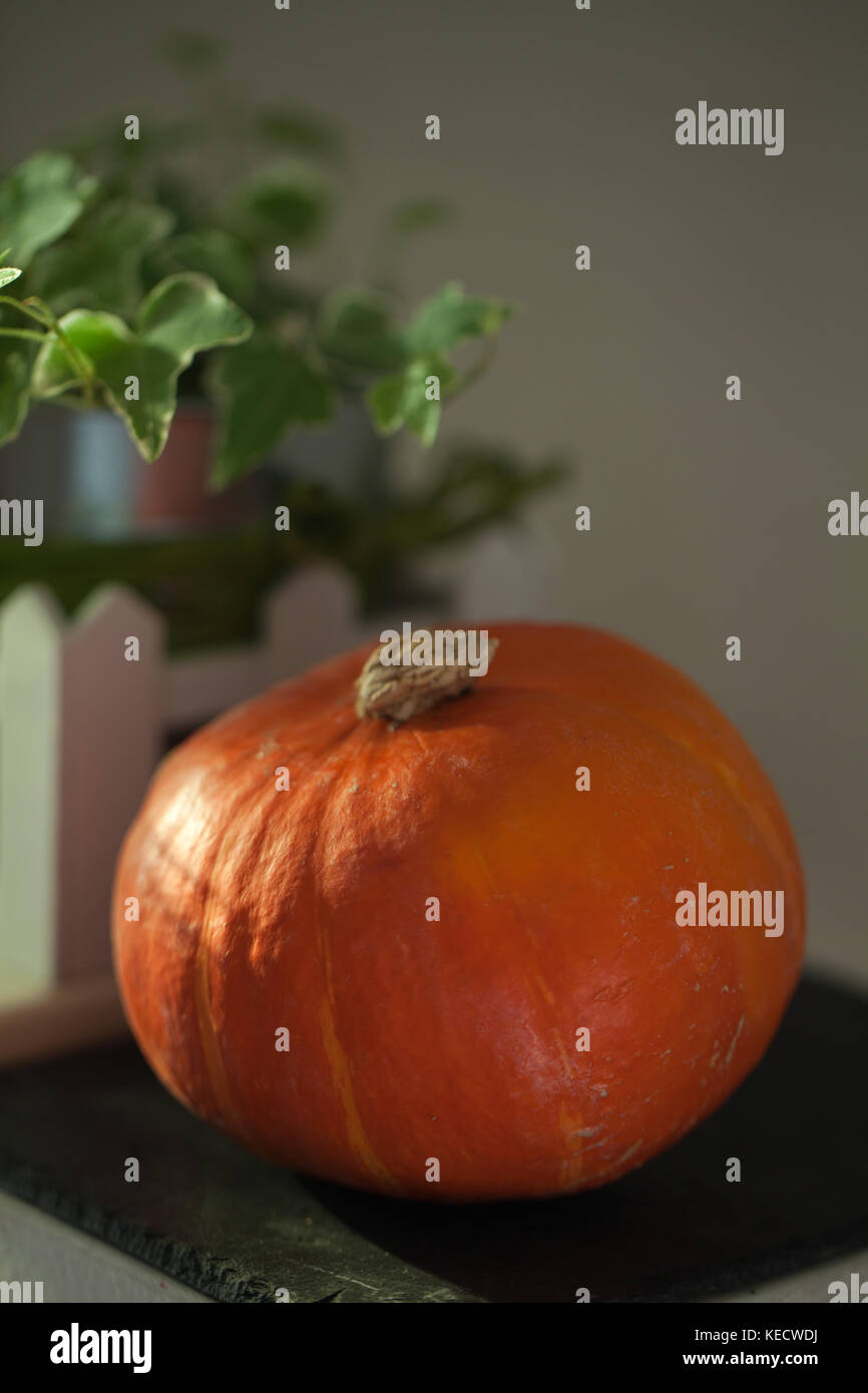 Traditional fall symbol hi-res stock photography and images - Alamy