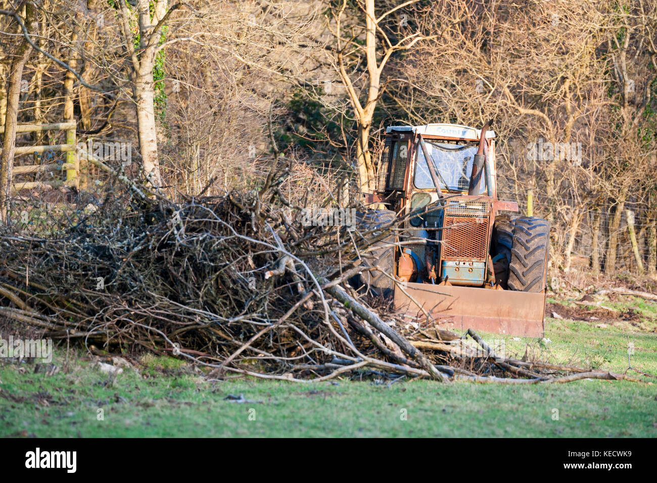 vintage Ford County tractor used for pulling wood Stock Photo - Alamy