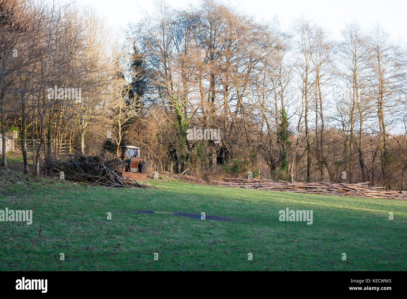vintage Ford County tractor used for pulling wood Stock Photo - Alamy