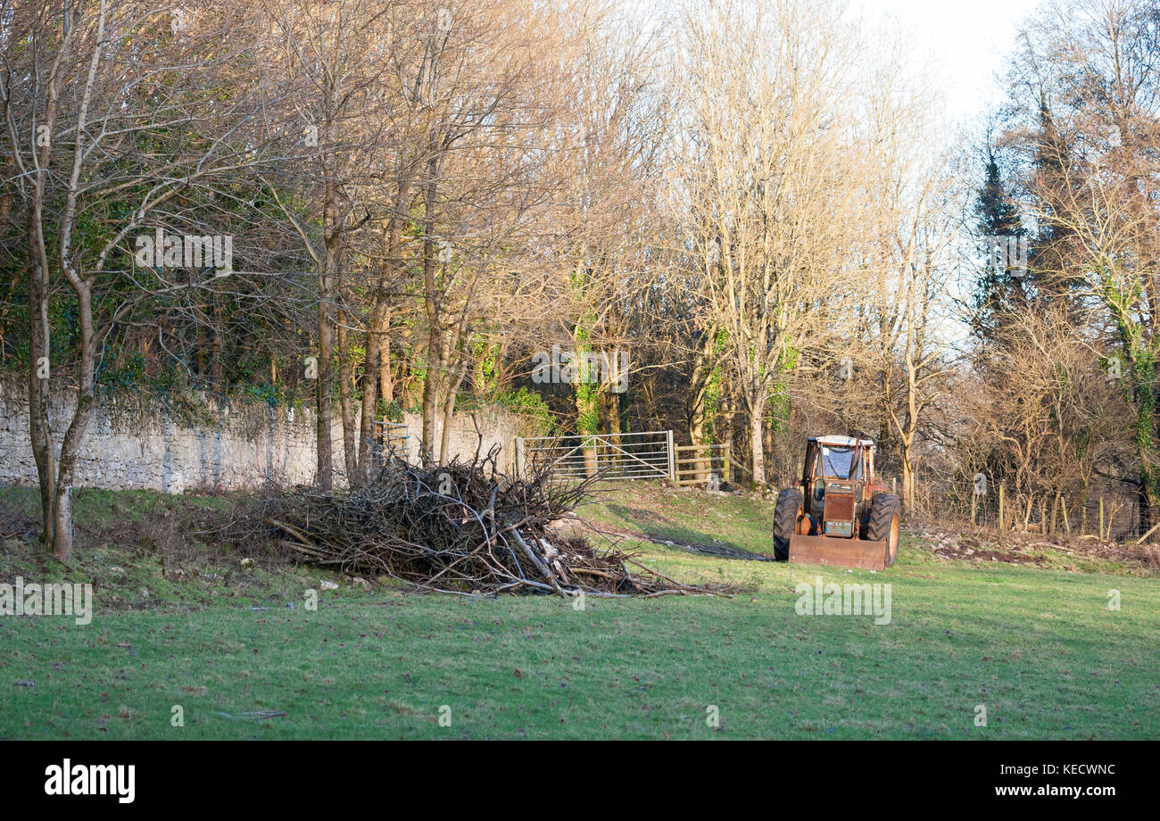 vintage Ford County tractor used for pulling wood Stock Photo - Alamy