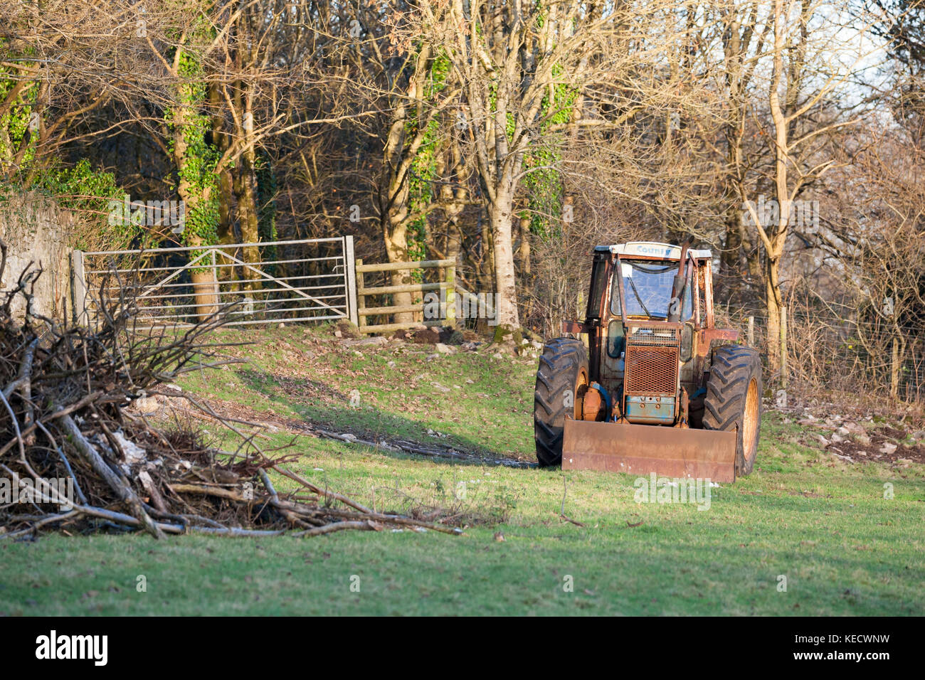 vintage Ford County tractor used for pulling wood Stock Photo - Alamy