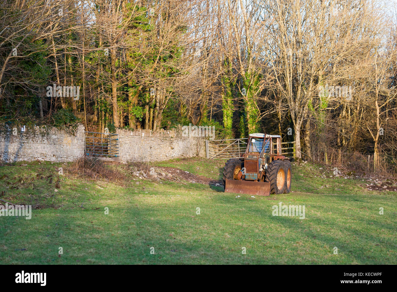vintage Ford County tractor used for pulling wood Stock Photo - Alamy