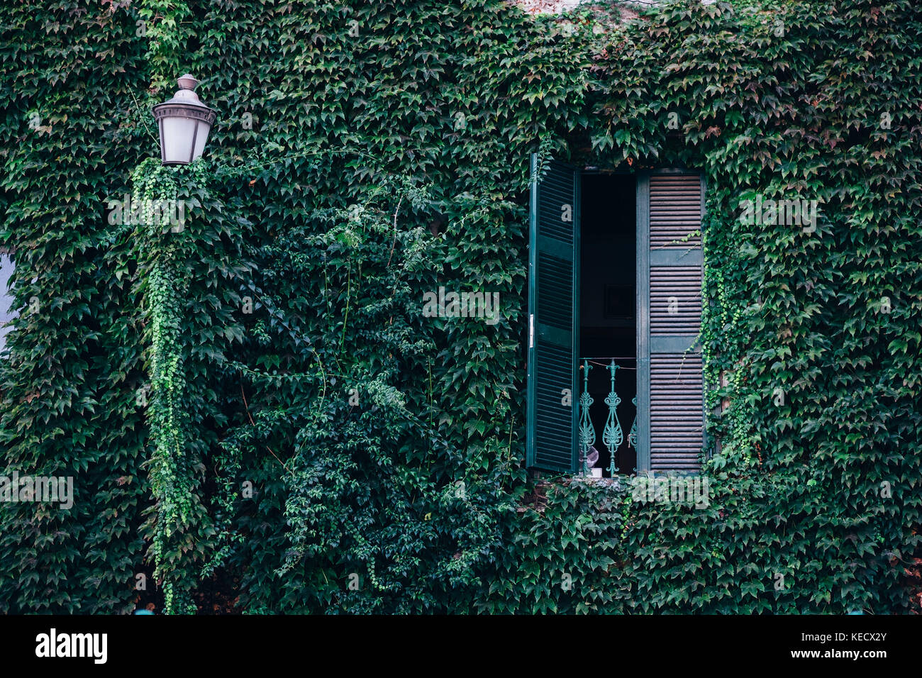 Ivy covered building hi-res stock photography and images - Alamy