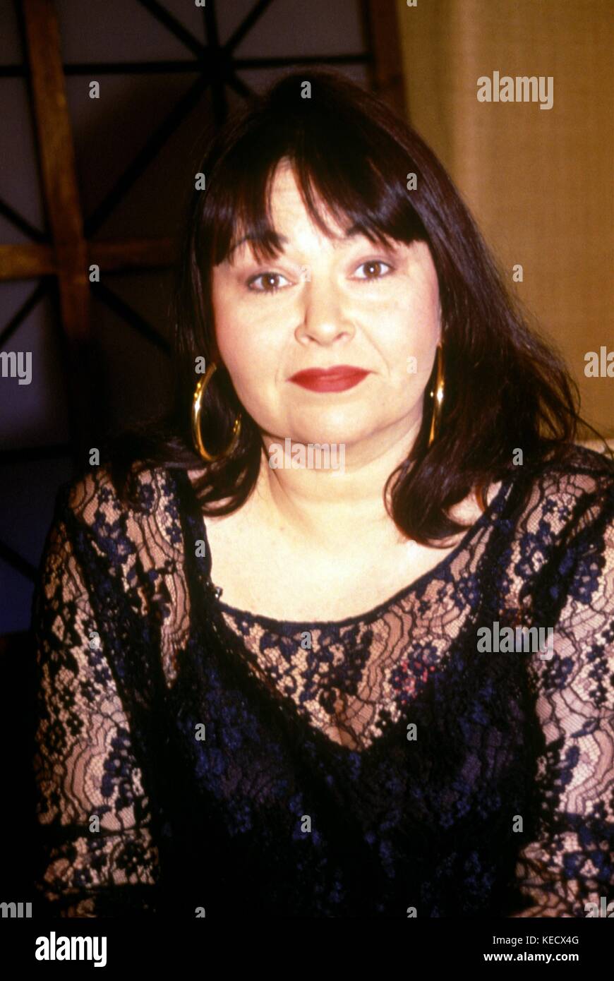 Roseanne, 1995. © RTTalesnick /MediaPunch Stock Photo - Alamy