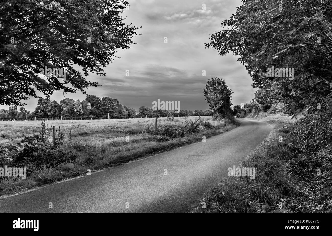 Country lane Black and White Stock Photos & Images - Alamy