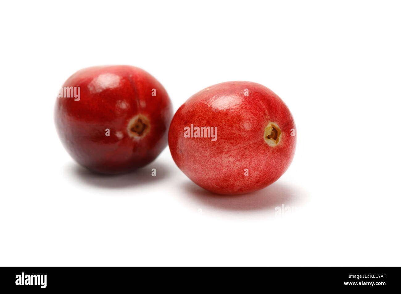 Red fresh raw cranberry isolated on white background. produce at bc ...